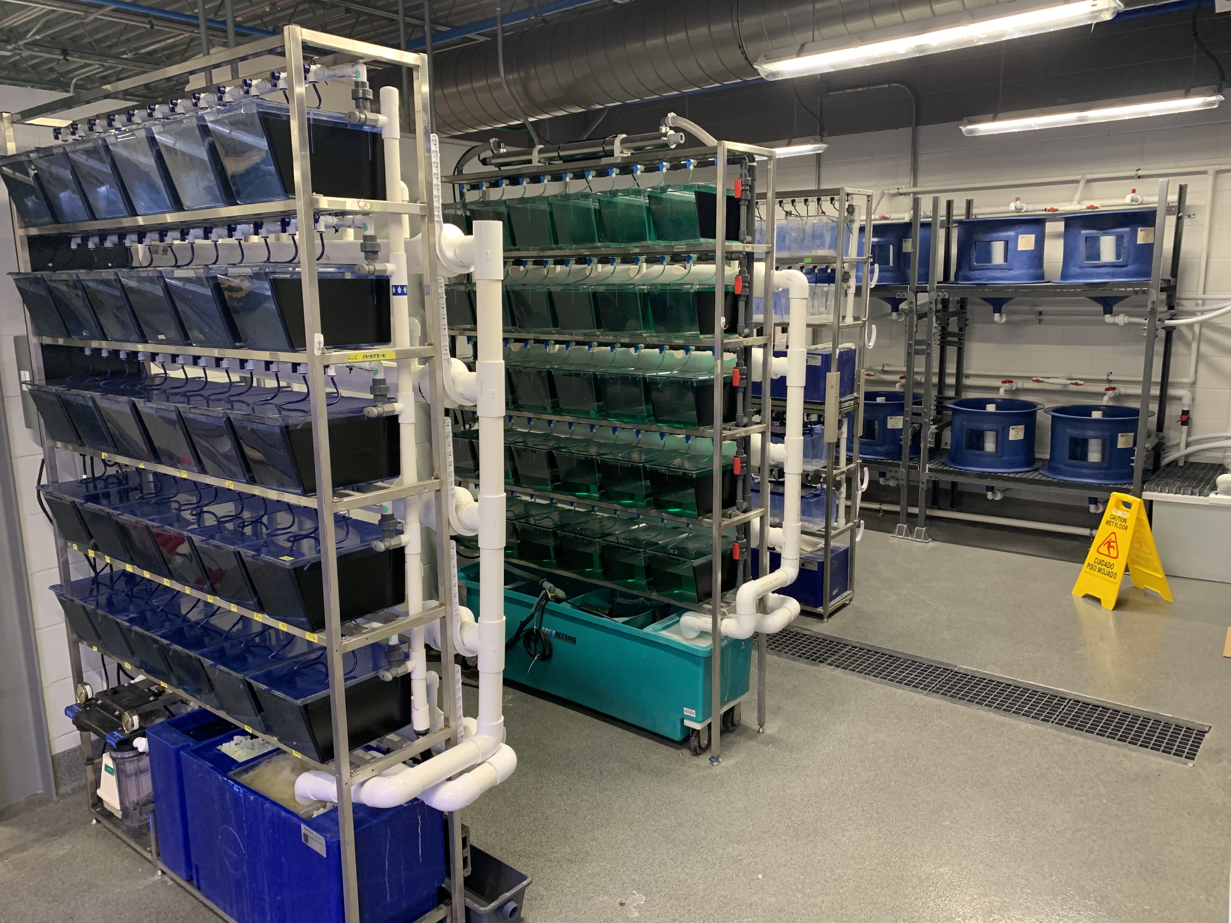 The Lab – Yates Mill Aquatic Conservation Center at NC State University