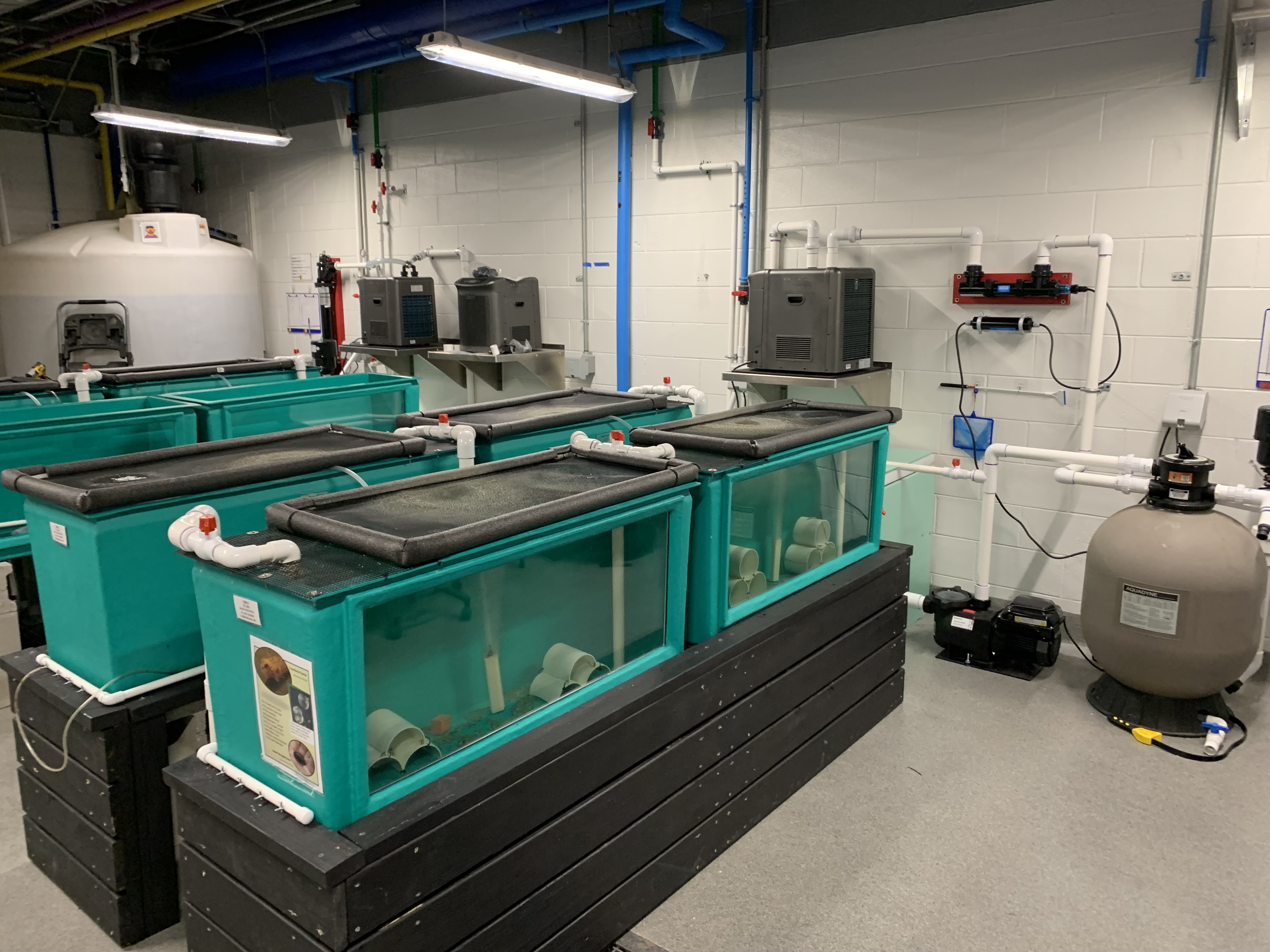 The Lab – Yates Mill Aquatic Conservation Center at NC State University